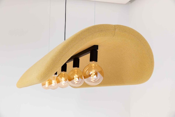 BuzziChip, Everything revolves around the curves | BuzziSpace