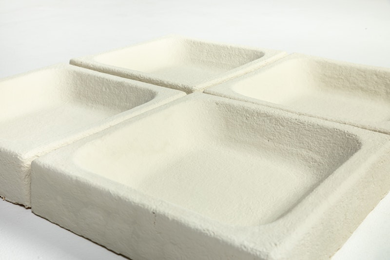 BuzziReForm, A fully biodegradable mycelium-based acoustic panel ...