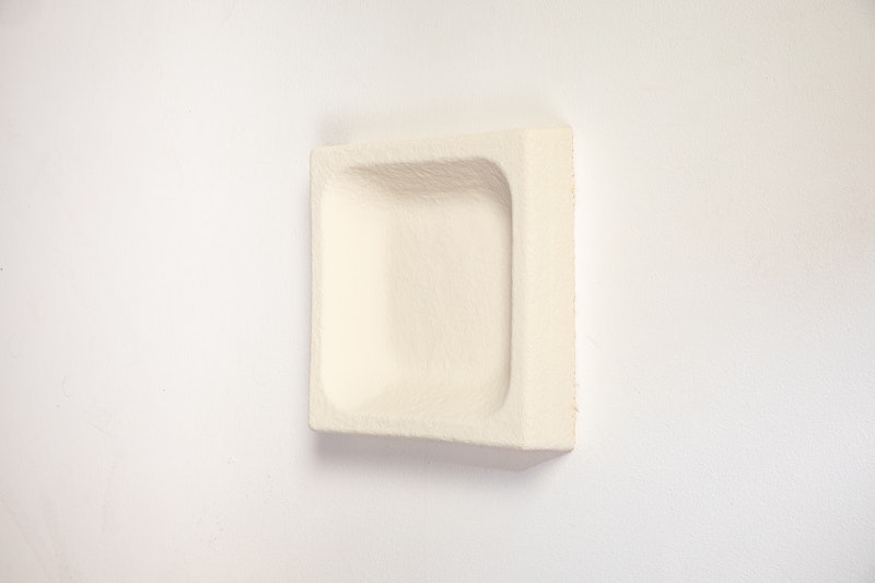 BuzziReForm, A fully biodegradable mycelium-based acoustic panel ...