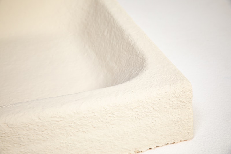BuzziReForm, A fully biodegradable mycelium-based acoustic panel ...