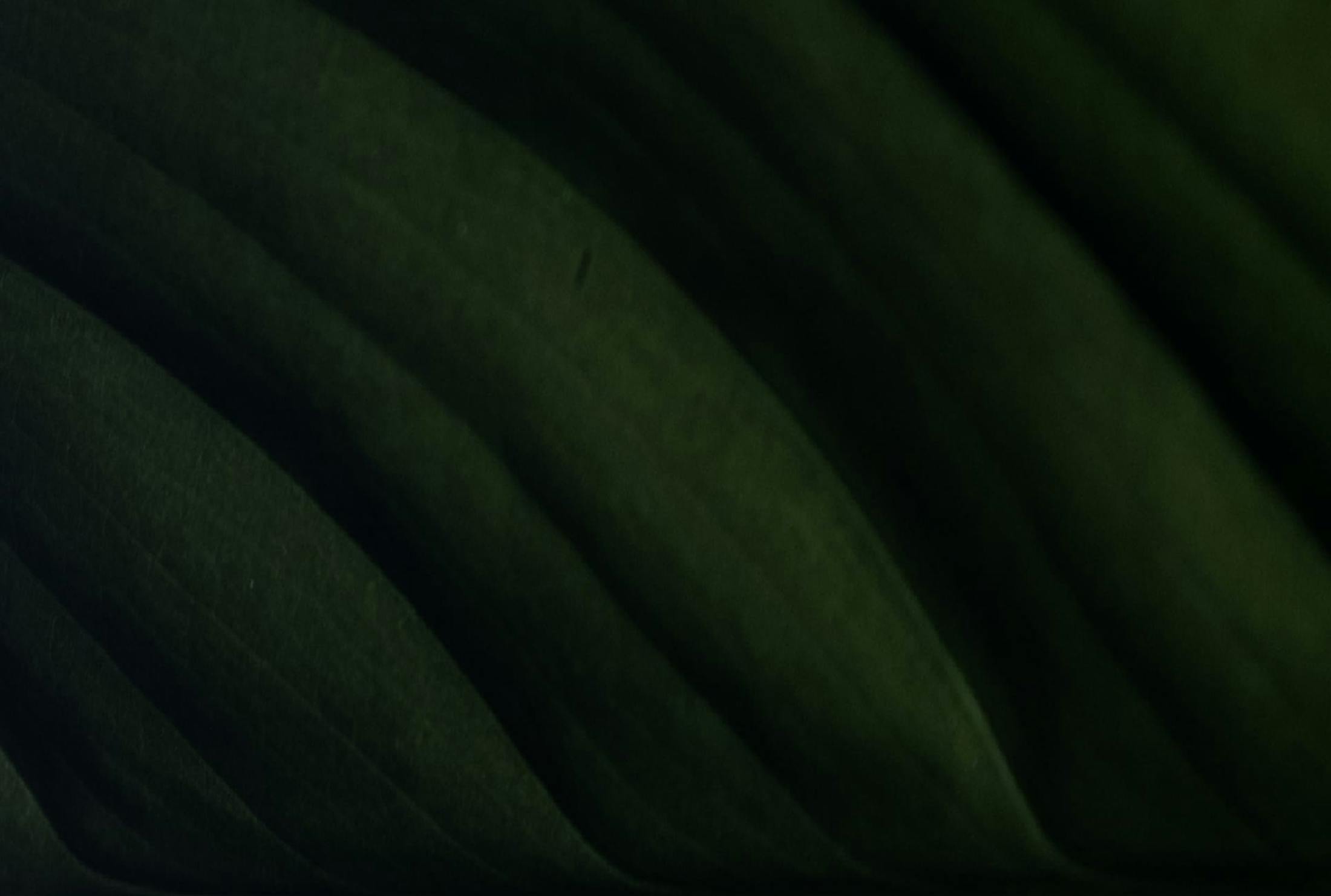 Privacy Policy | Integrated Aesthetics