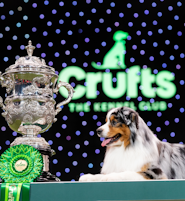 The Top 10 UK Animal & Pet Trade Shows | Exhibition Calendar
