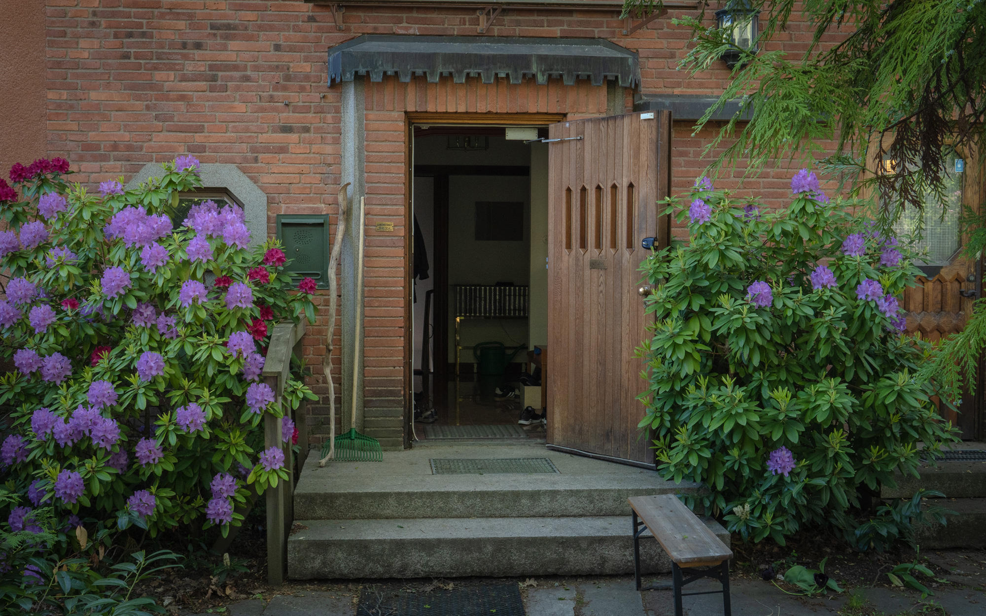 Studio & Crew | Might and Delight