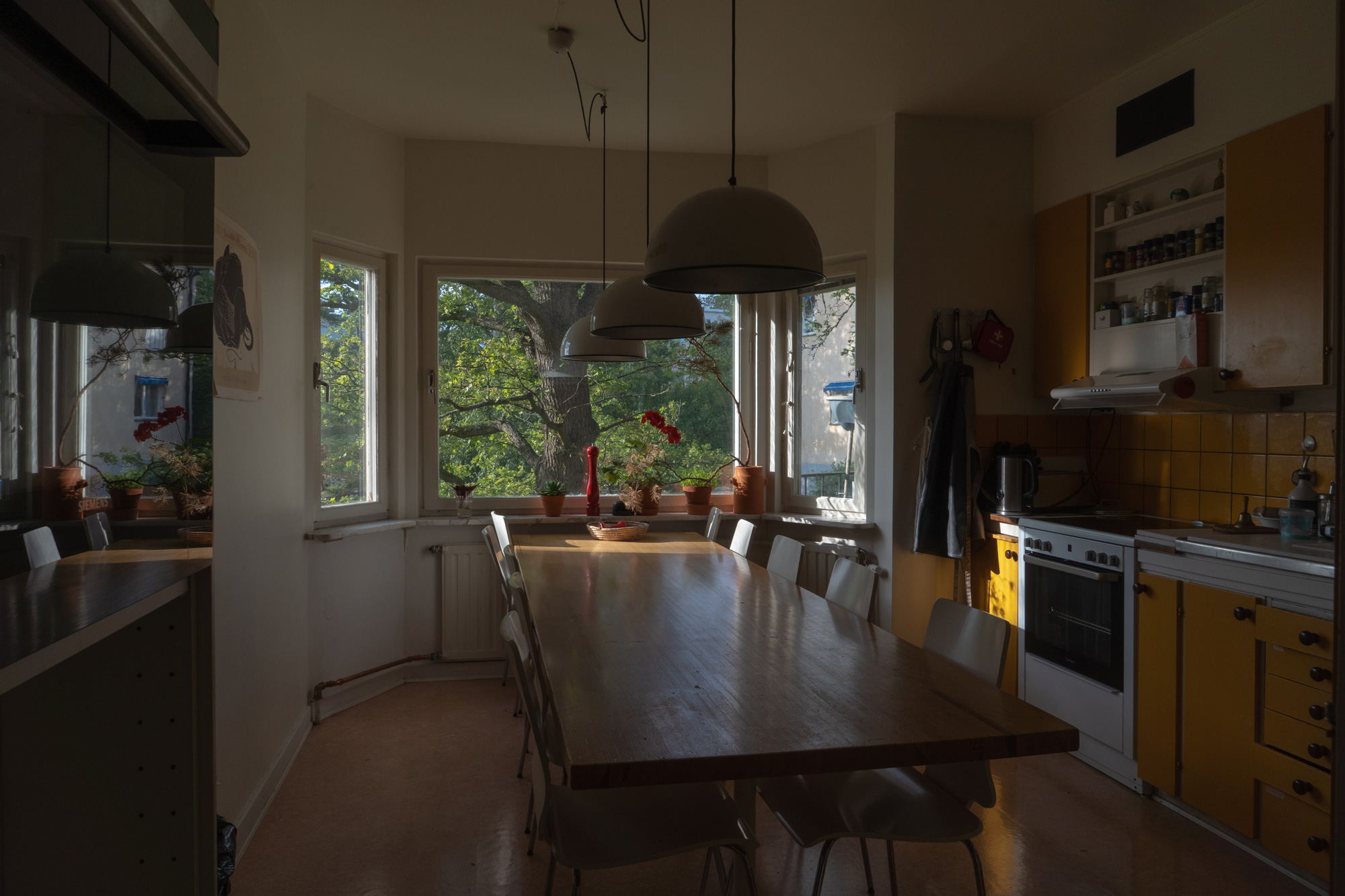 Studio & Crew | Might and Delight