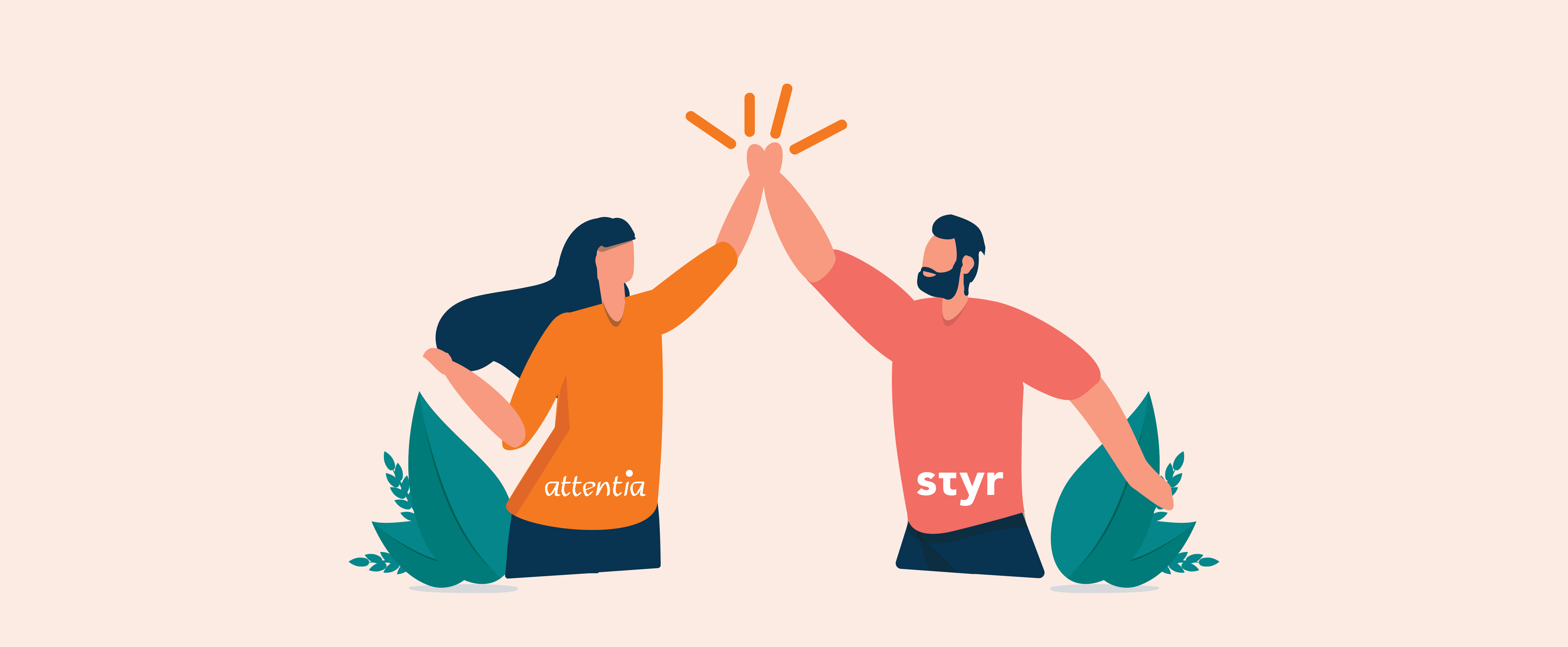 Functieclassificatie: Eenvoudig en hybride waarderen