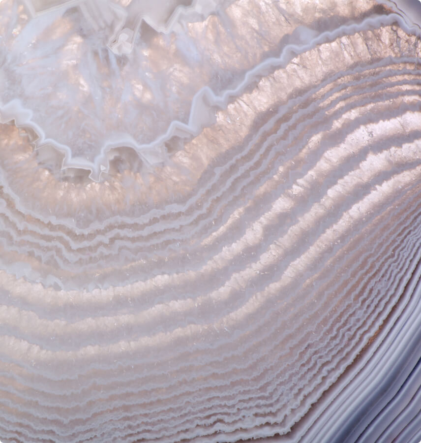 Dr. Jacob Tower | The Spiegel Center