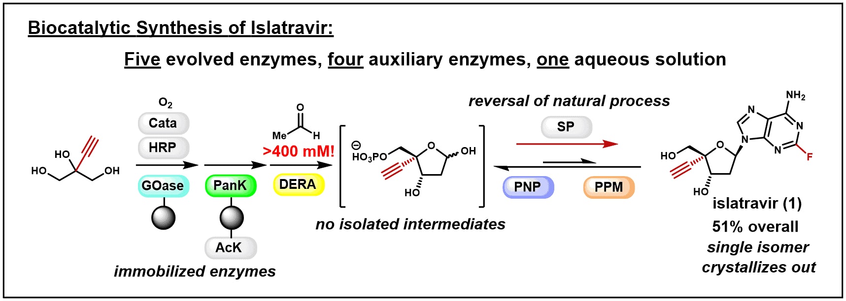Merck/Codexis Magic: Biocatalytic Synthesis of Islatravir