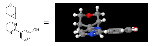 A Non-Nitrogen Containing Morpholine Isostere