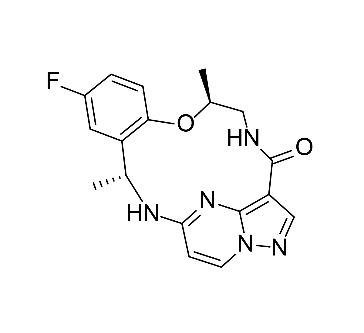 repotrectinib