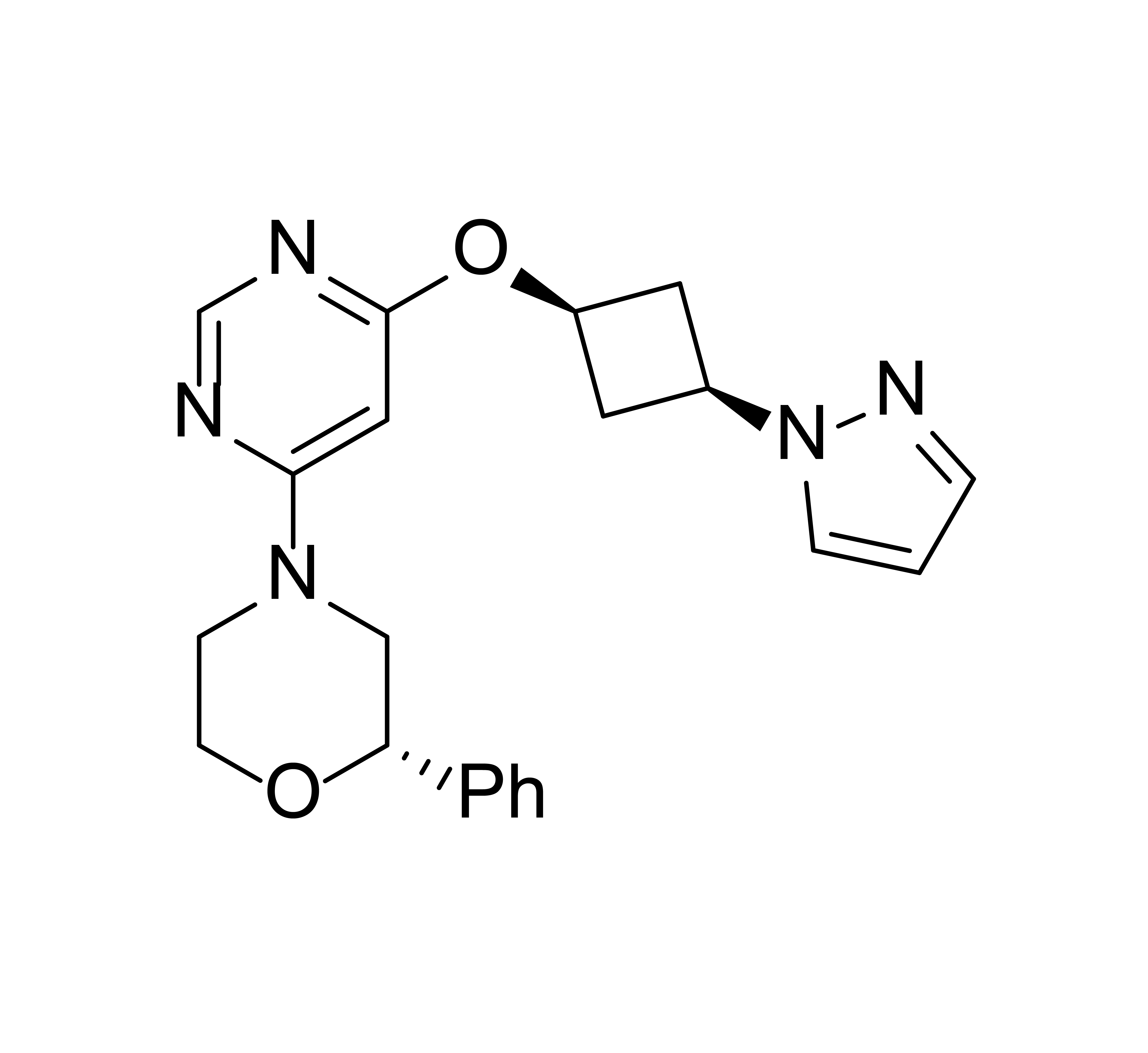 Drug Hunter - drug discovery, distilled