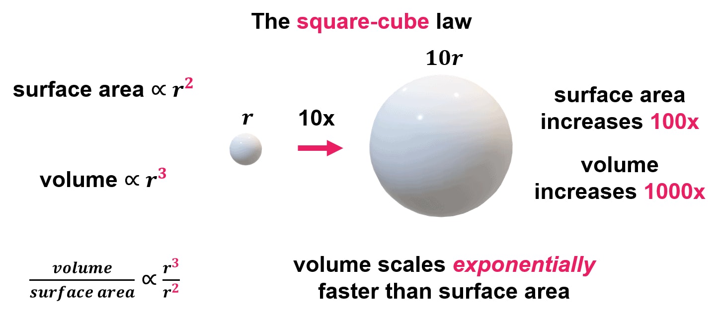 The Square-Cube Law in Chemistry and Biology