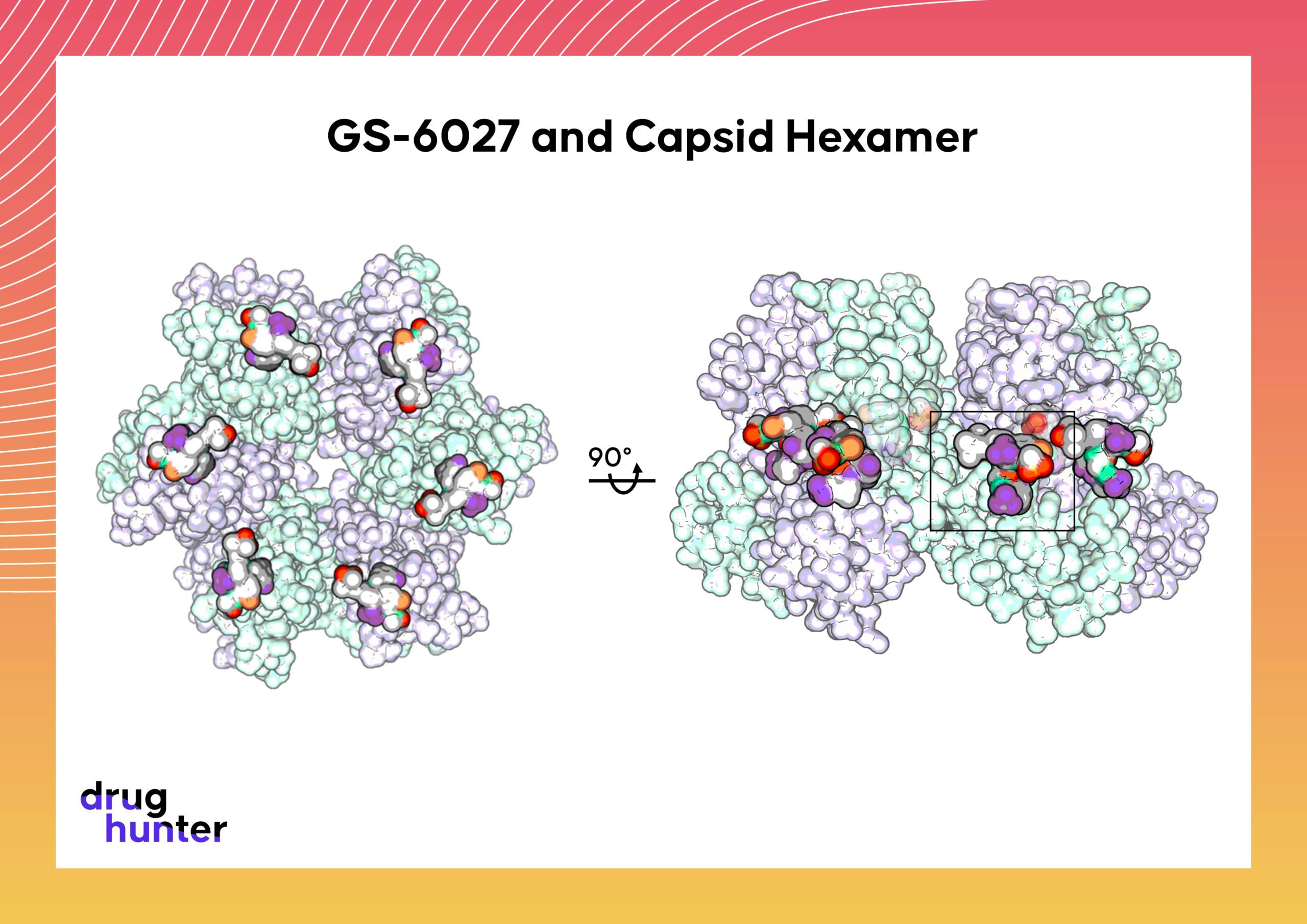 Lenacapavir: 2020 Small Molecule of the Year