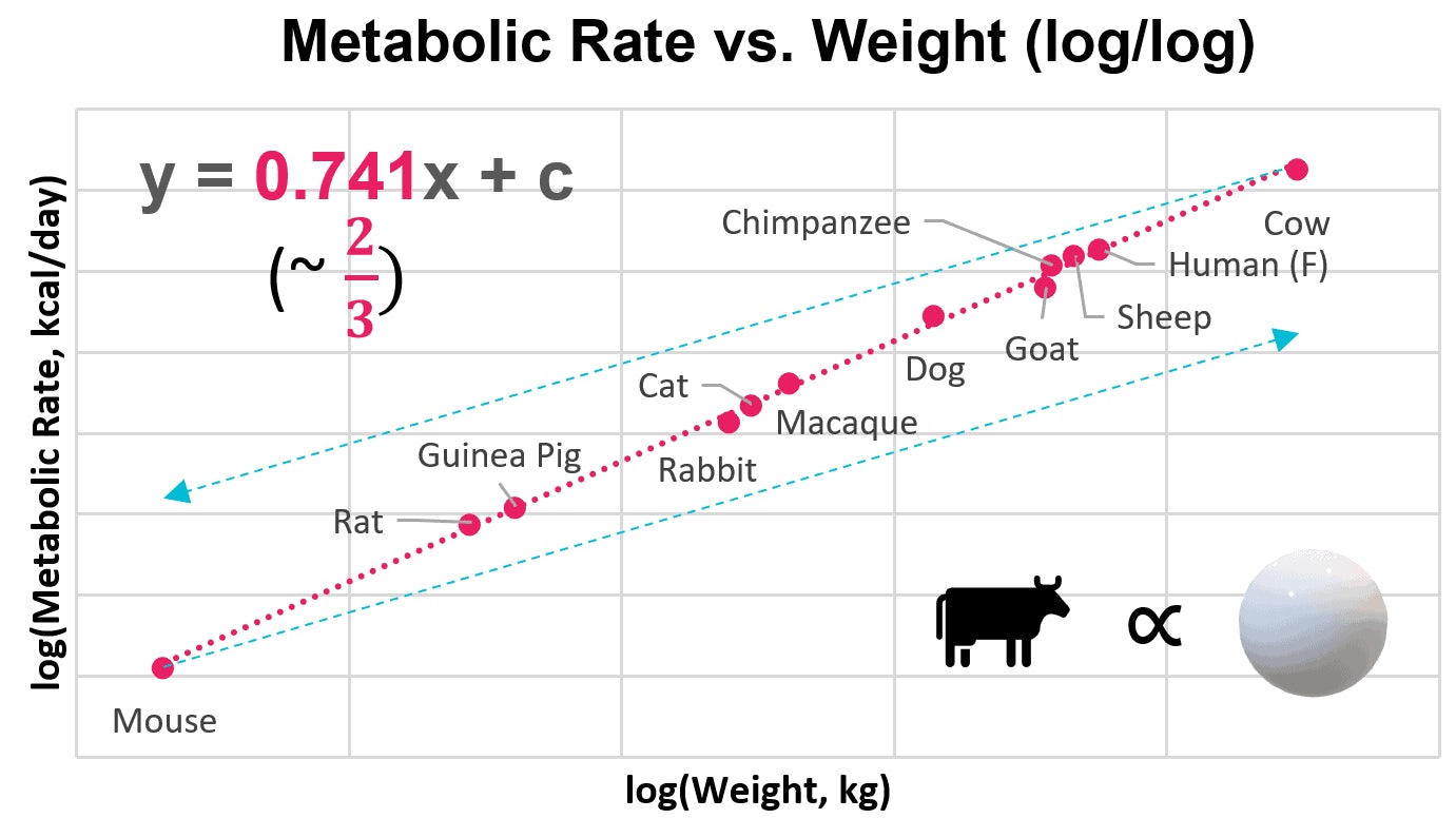 The Square-Cube Law in Chemistry and Biology