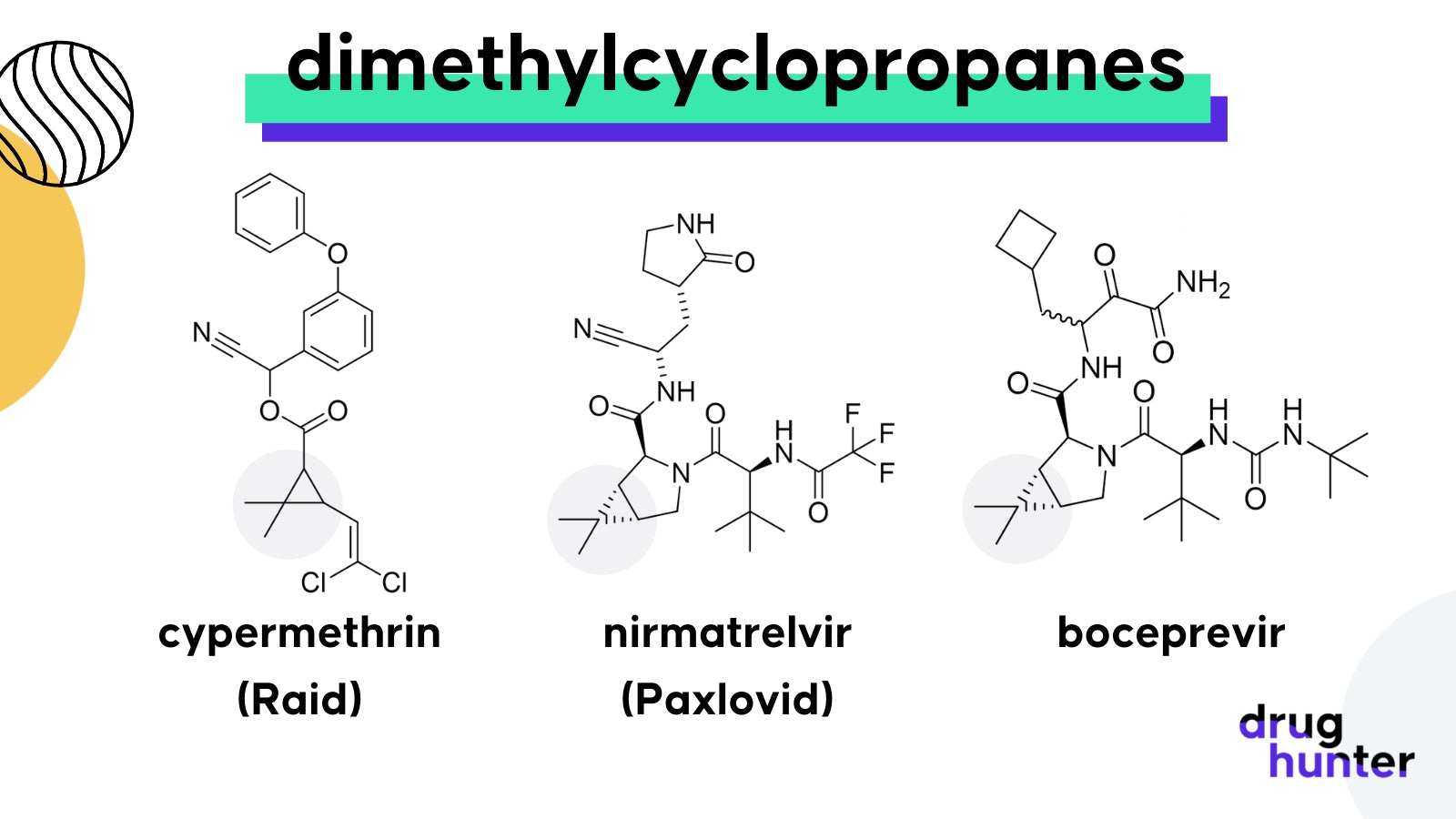 Production-Scale Synthesis of gem-Dimethylcyclopropylproline