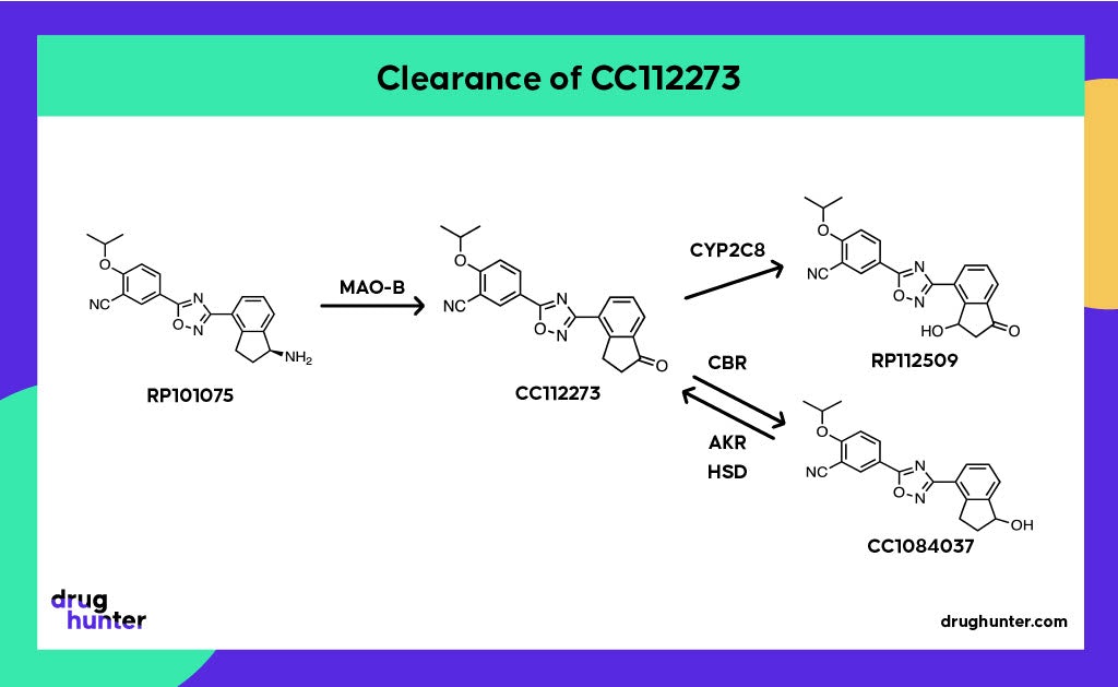 Billion-Dollar Biotransformations: On the Metabolism of Ozanimod