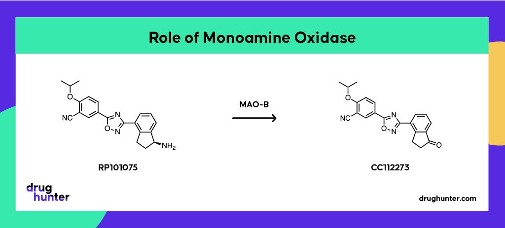 Billion-Dollar Biotransformations: On the Metabolism of Ozanimod