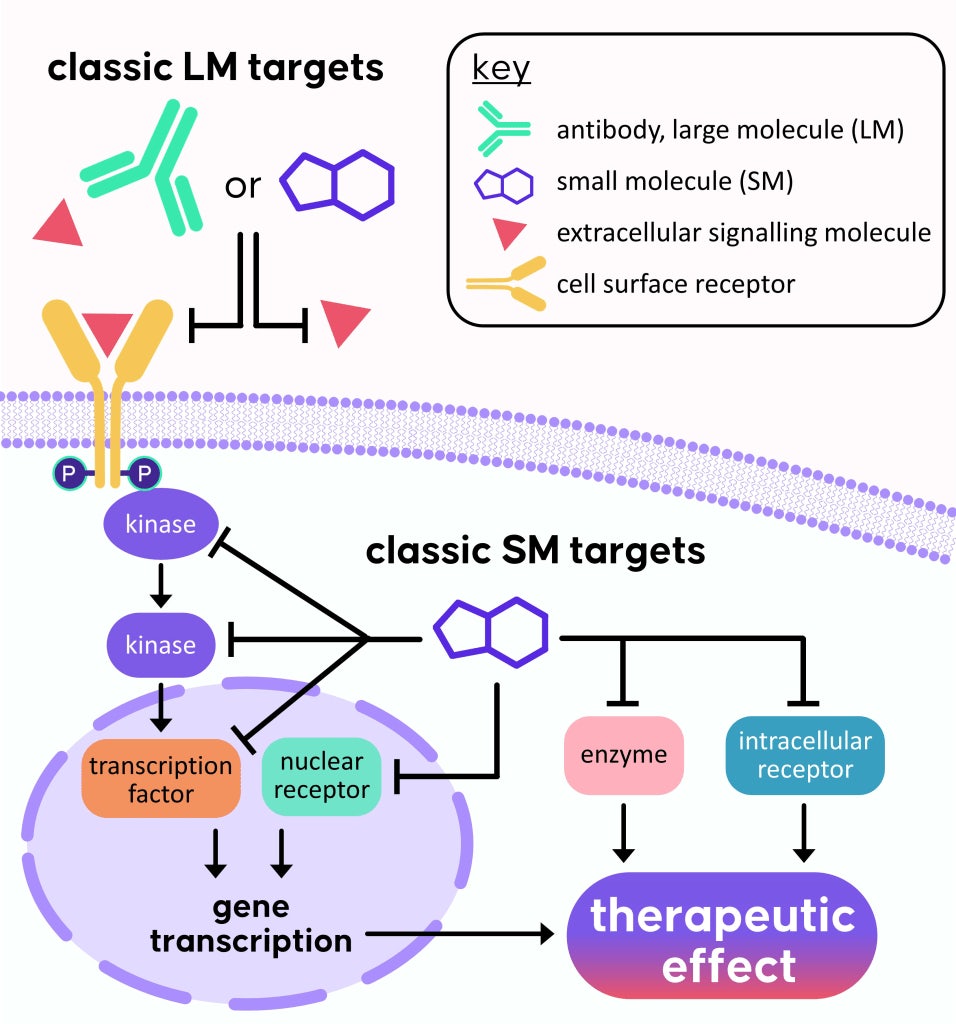 Small Molecule Immunomodulators – H1 2021