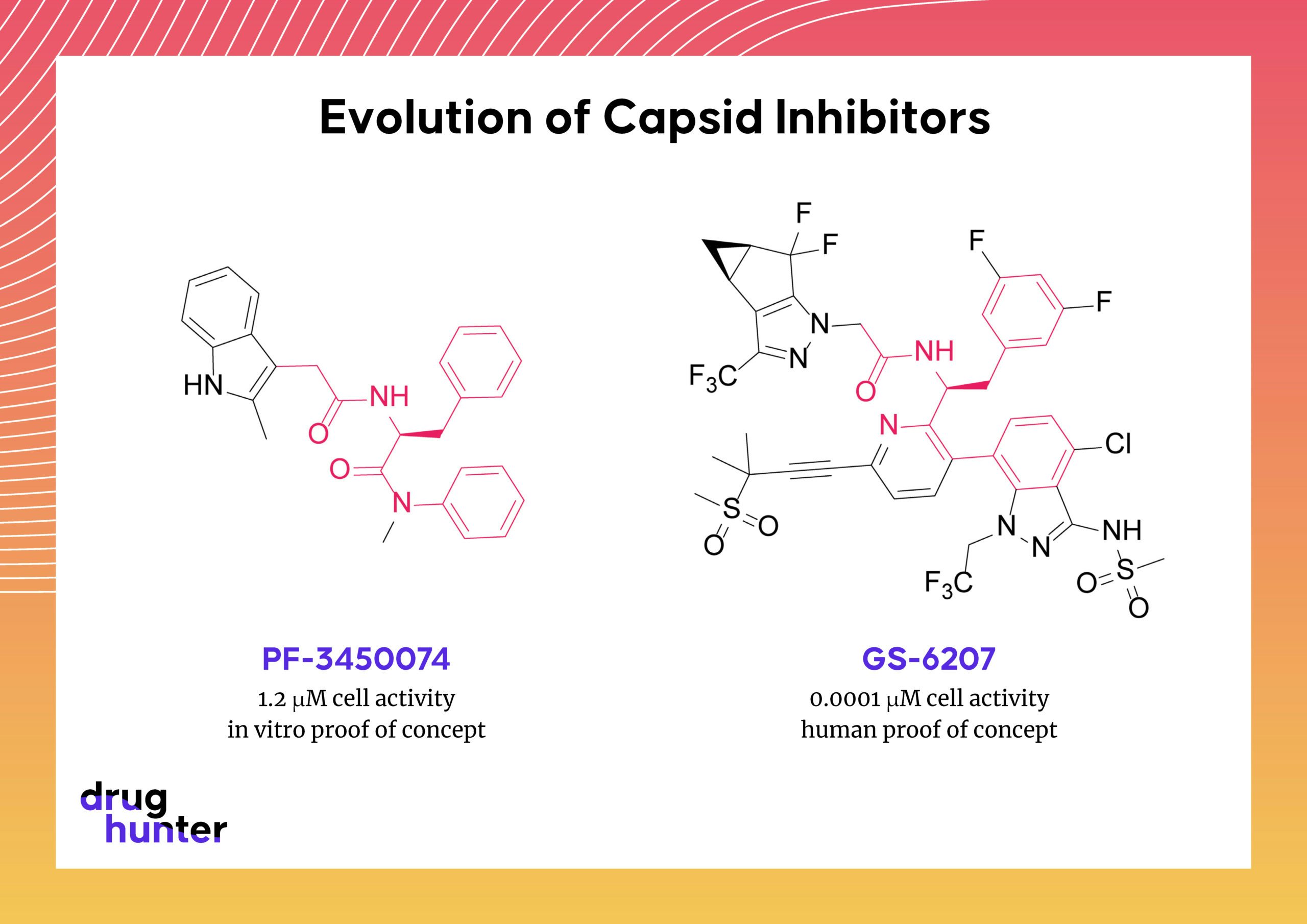 Lenacapavir: 2020 Small Molecule of the Year