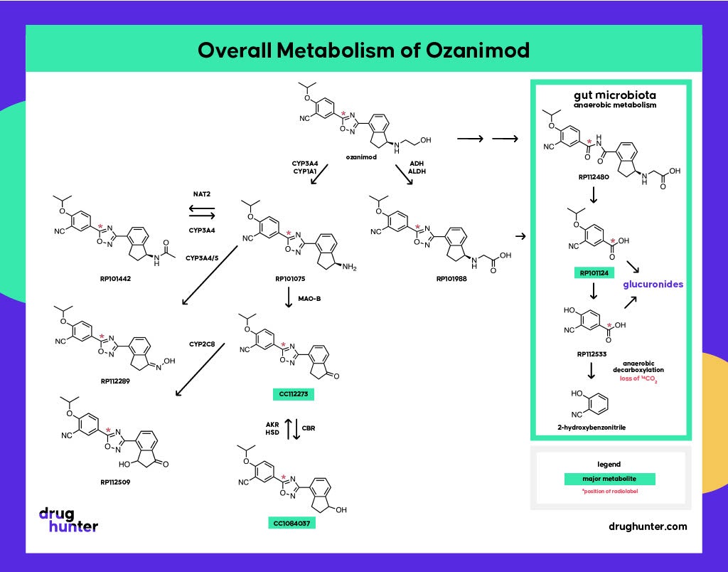 Billion-Dollar Biotransformations: On the Metabolism of Ozanimod