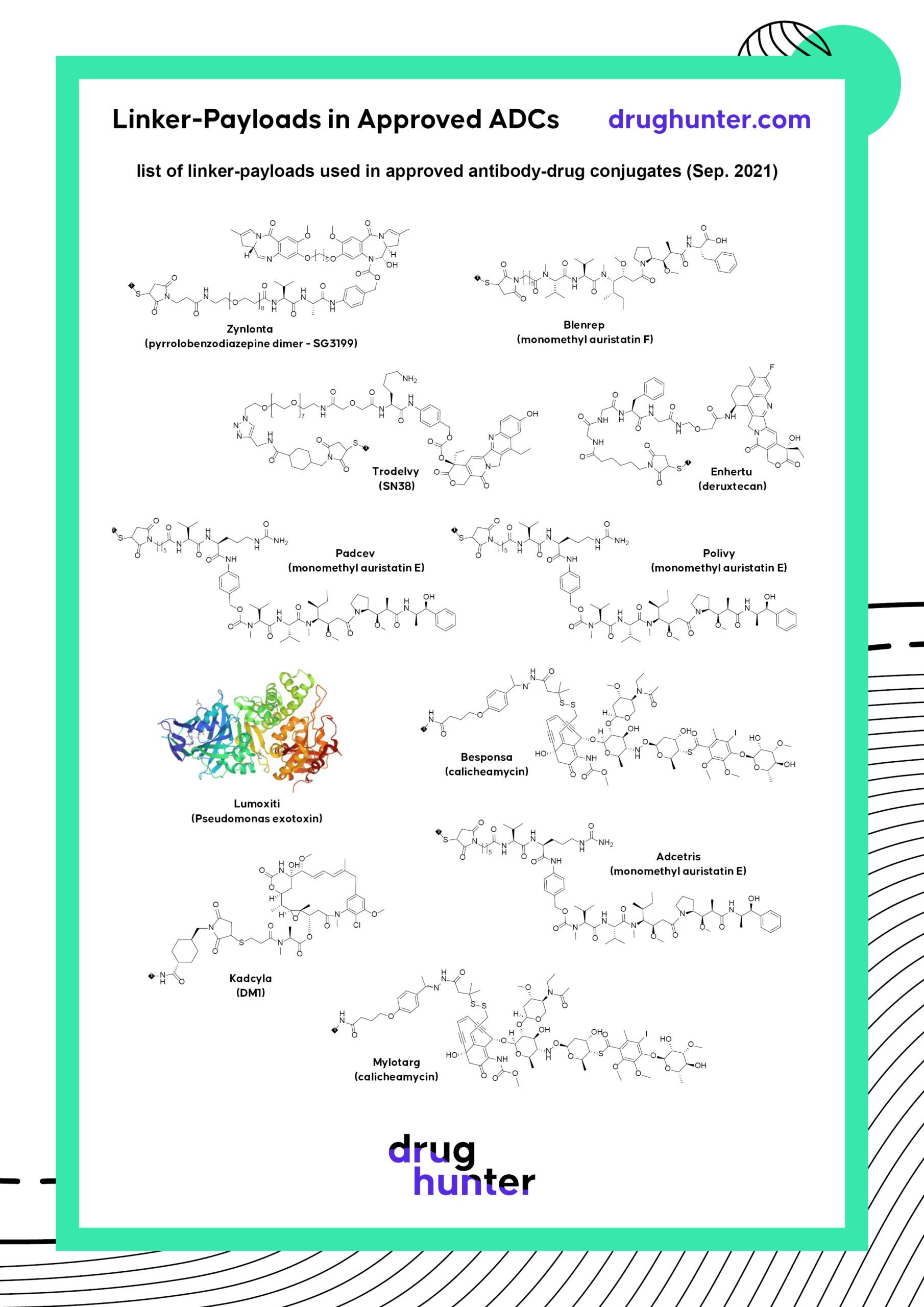 The Resurgence of Antibody-Drug Conjugates – FDA Approved ADCs and ...