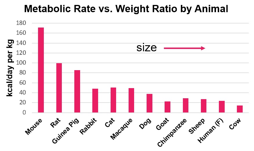 The Square-Cube Law in Chemistry and Biology