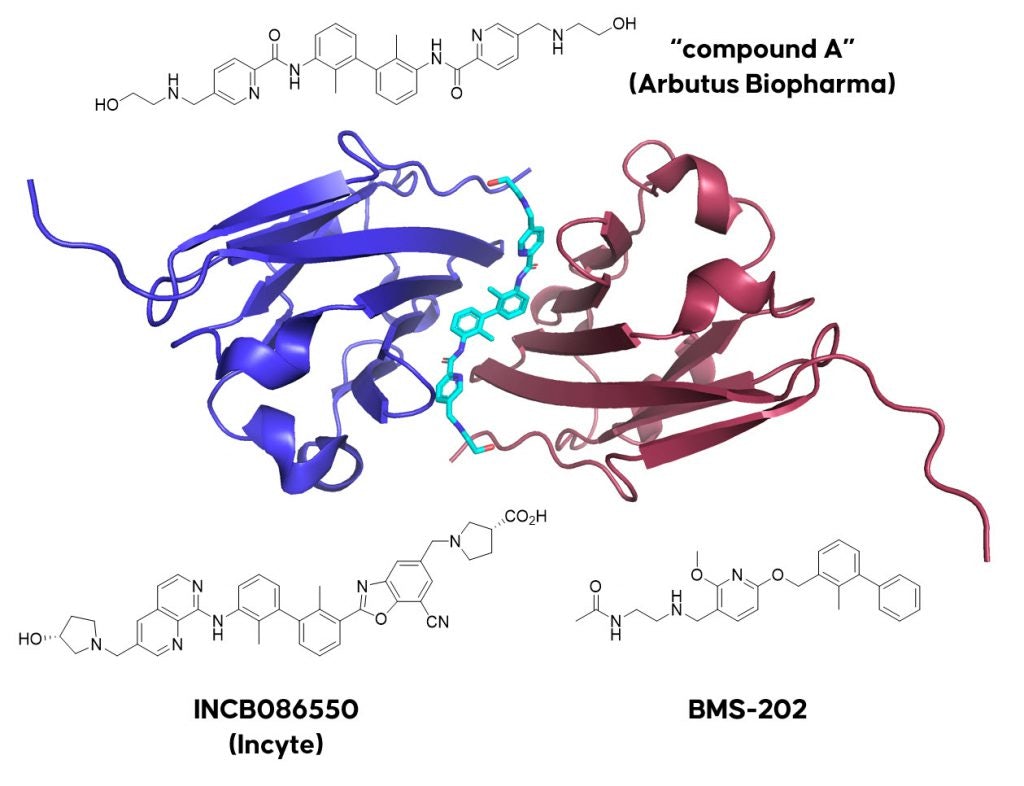 Small Molecule Immunomodulators – H1 2021