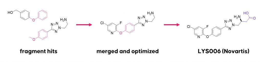 Small Molecule Immunomodulators – H1 2021
