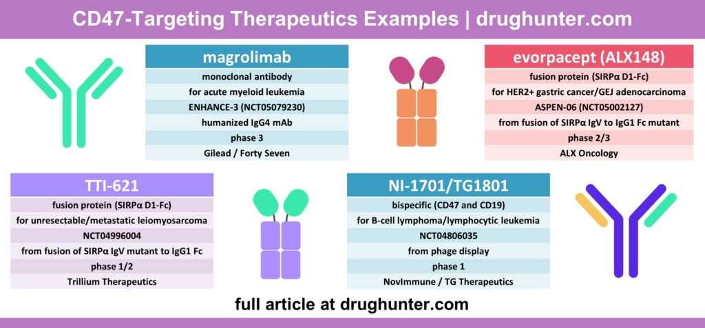 CD47-SIRPα Drug Target Minireview