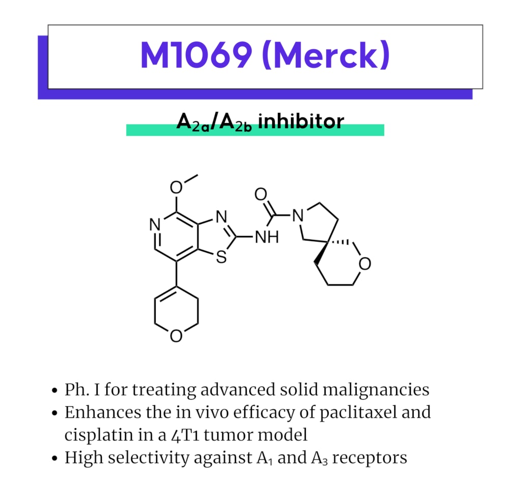 First Disclosures from EFMC-ISMC Nice, 2022