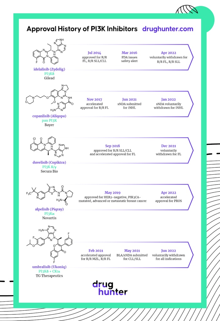 Small Molecule PI3K Inhibition in Oncology: What's Been Done and What's ...
