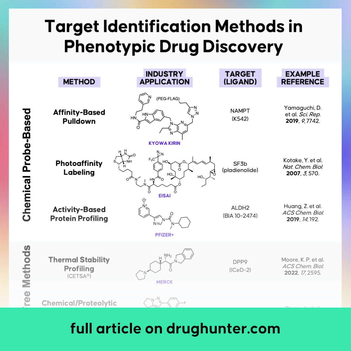 Drug Target Identification Methods After A Phenotypic Screen
