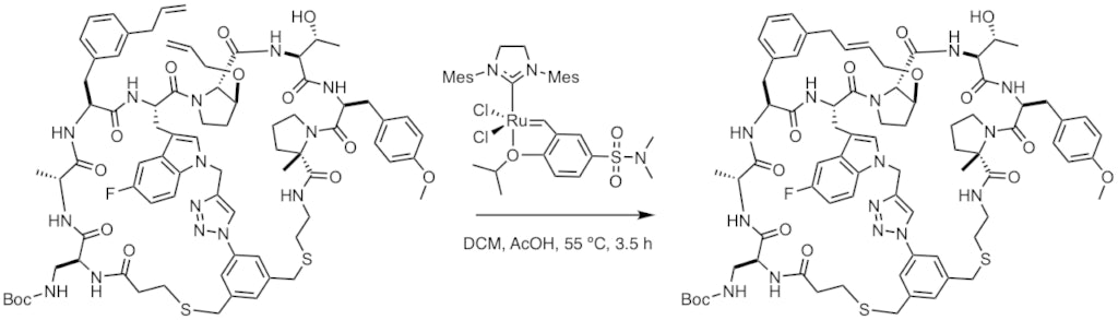 Macrocyclization via Ring-Closing Metathesis in Drug Discovery and ...
