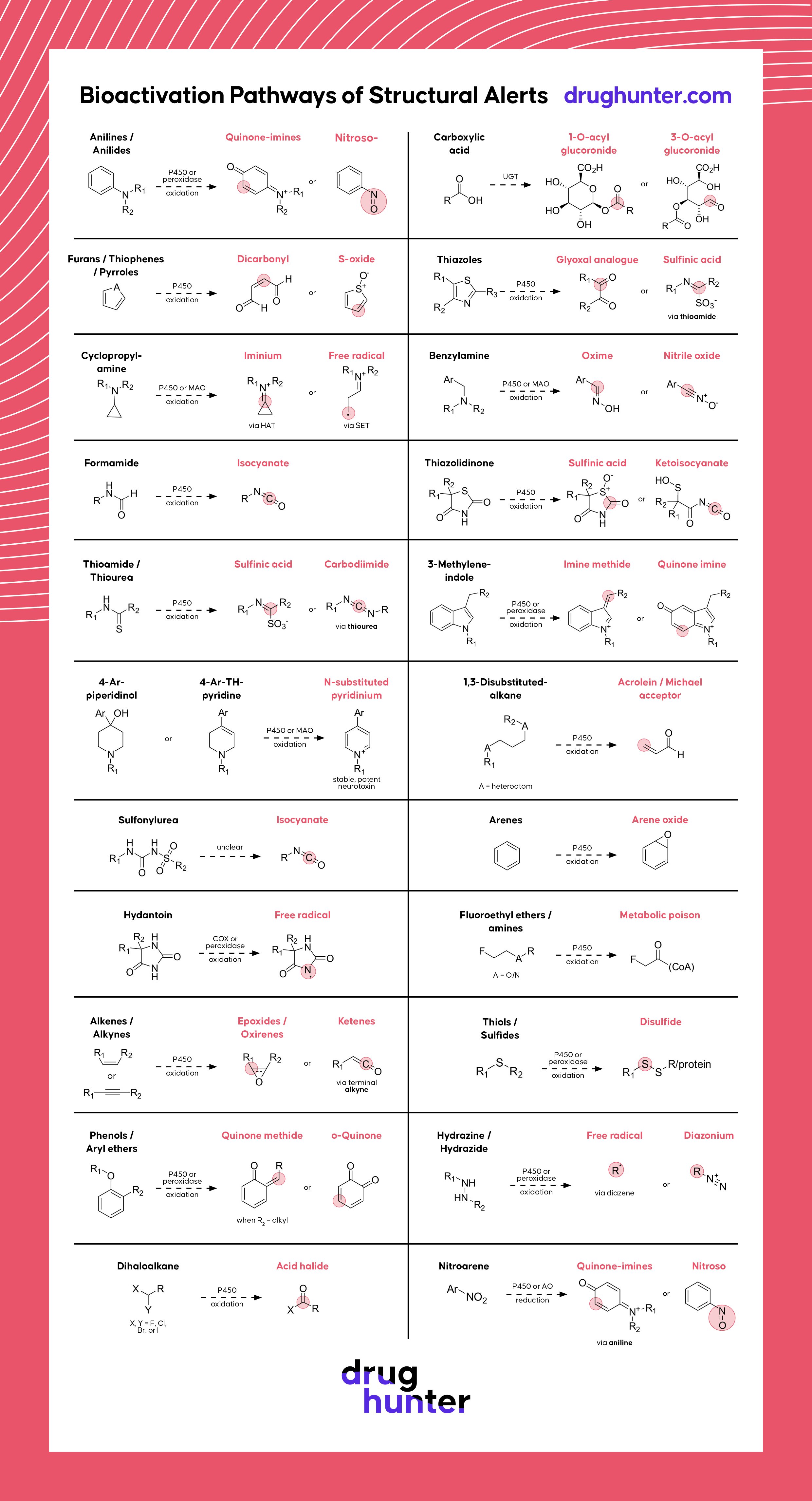 Bioactivation of Structural Alerts