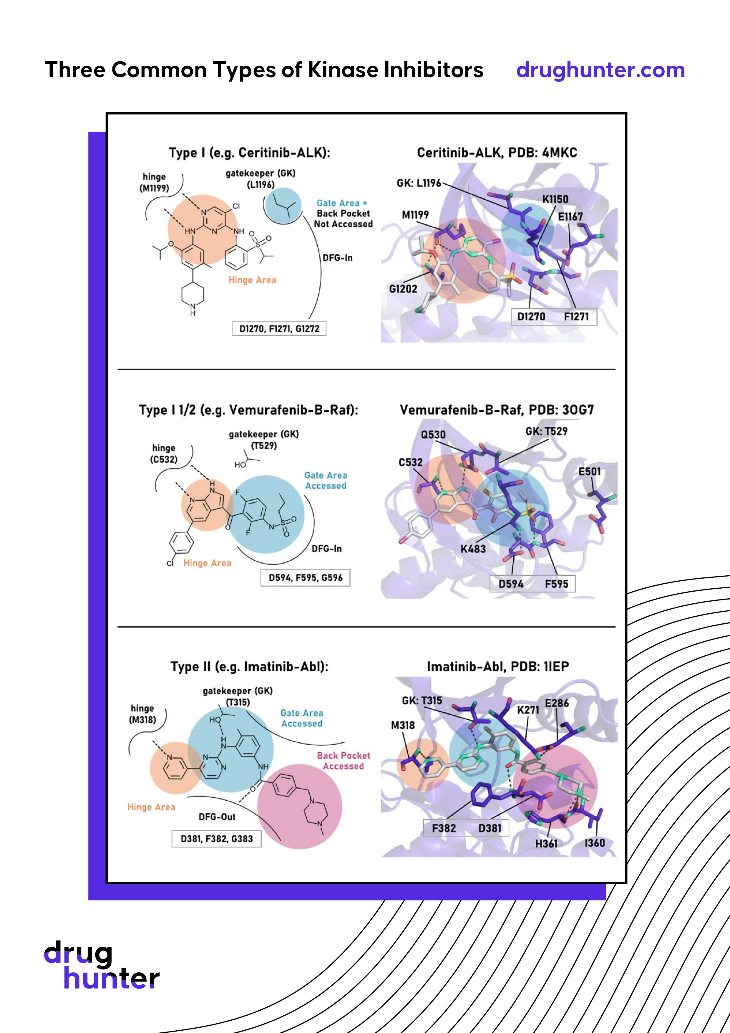 Kinase Inhibitor Types Predicted with Machine-Learning