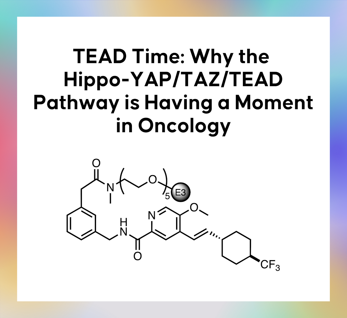 TEAD Time: Why the Hippo-YAP/TAZ/TEAD Pathway is Having a Moment in ...