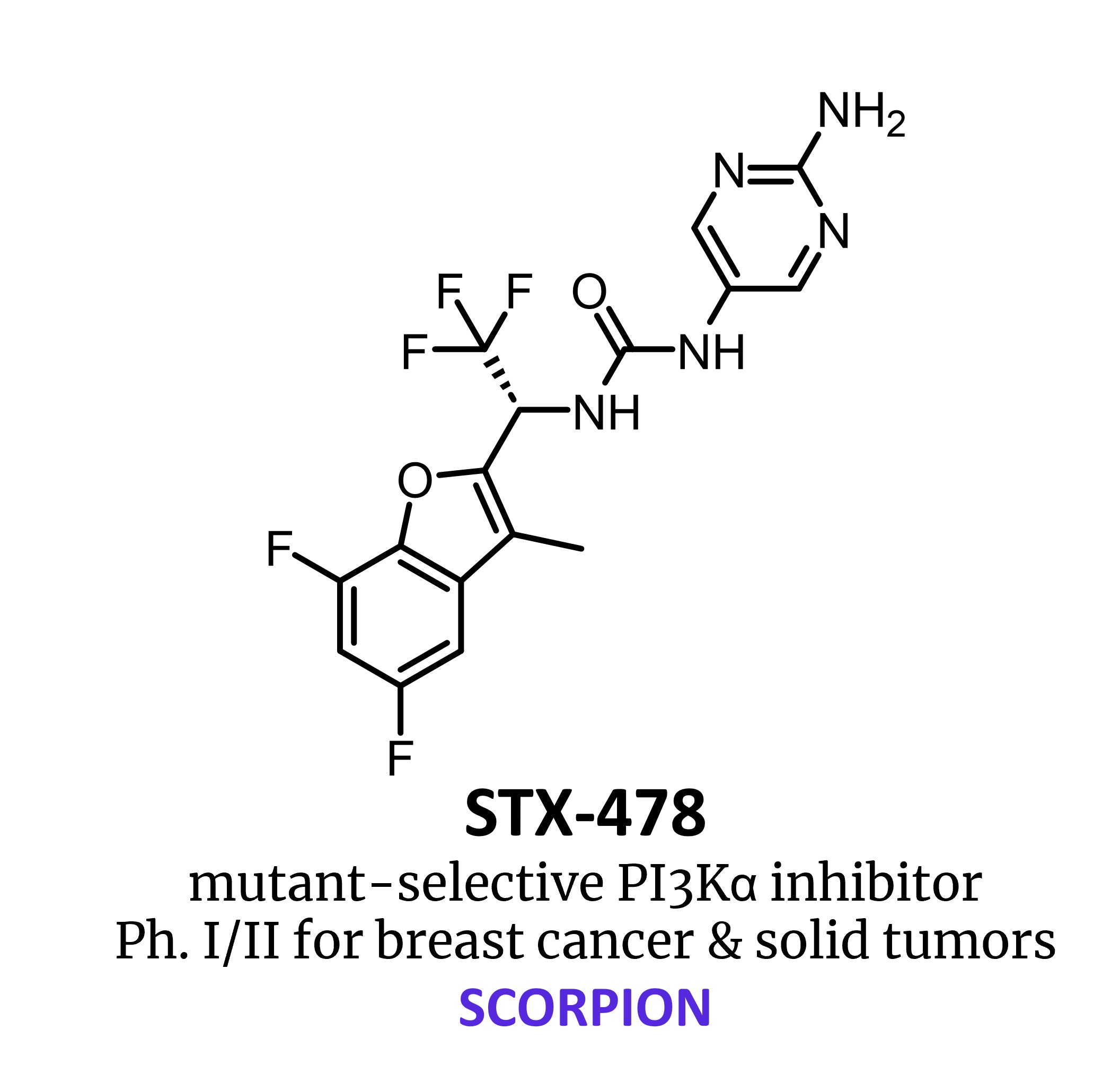 Top 12 Most Popular Drug Hunter Case Studies of 2023