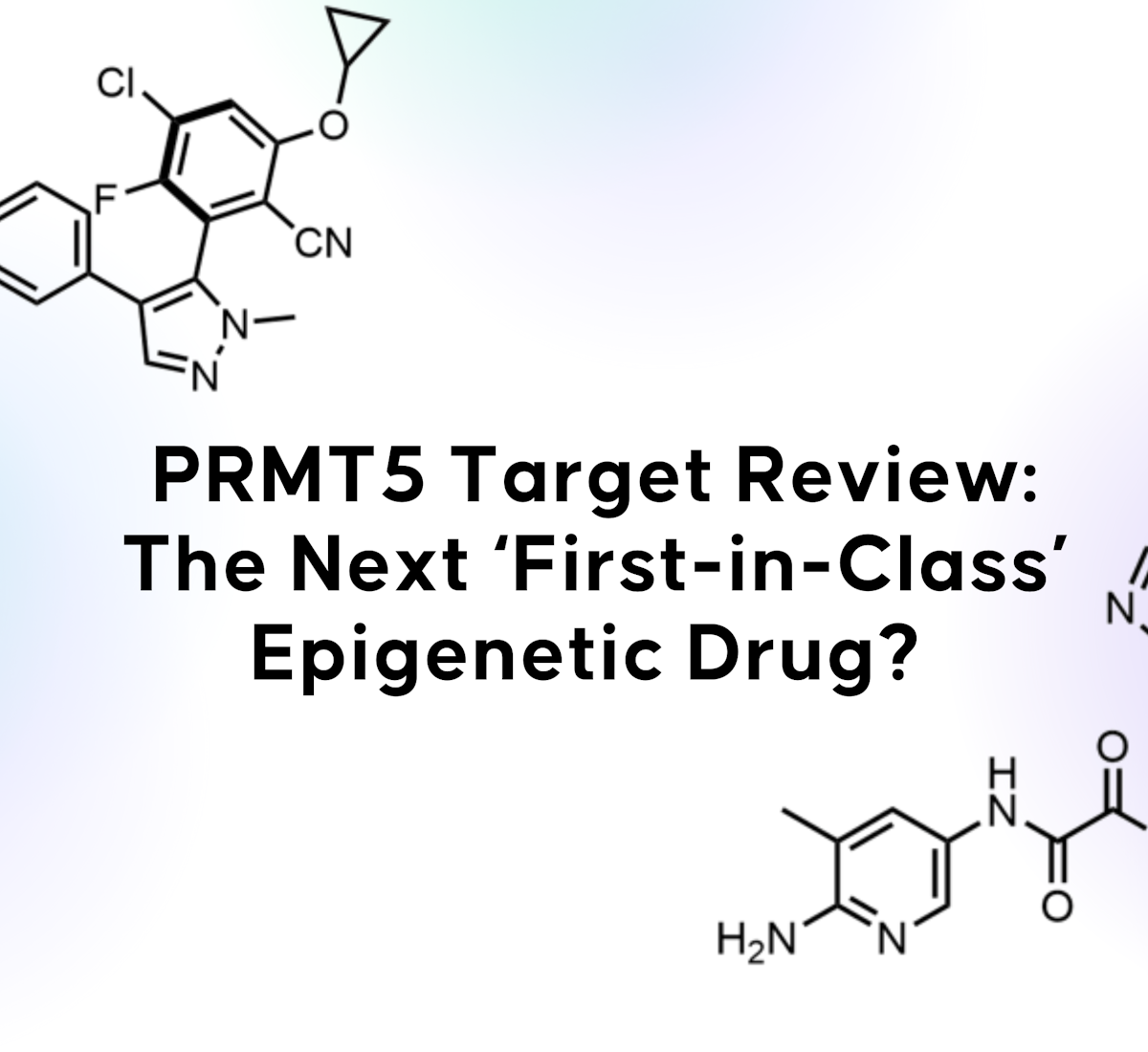 PRMT5 Target Review: The Next "First-in-Class" Epigenetic Drug?