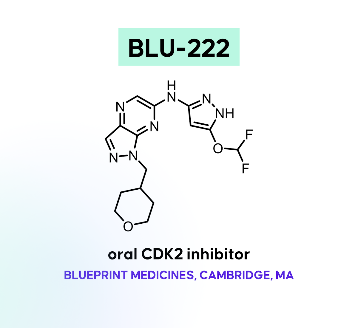 BLU-222
