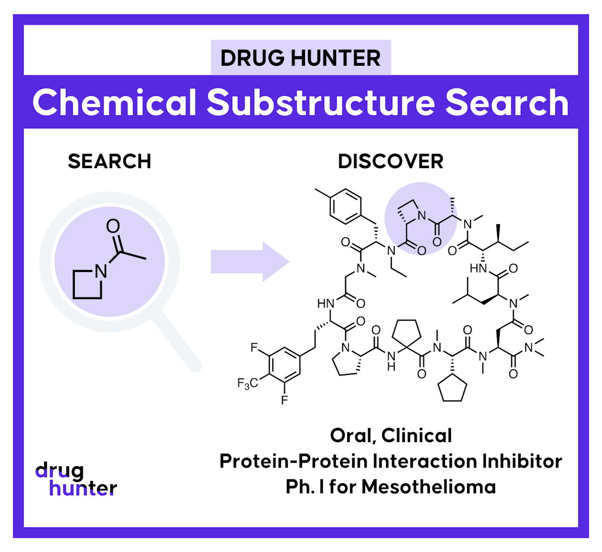 Drug Hunter Flash Talk Series