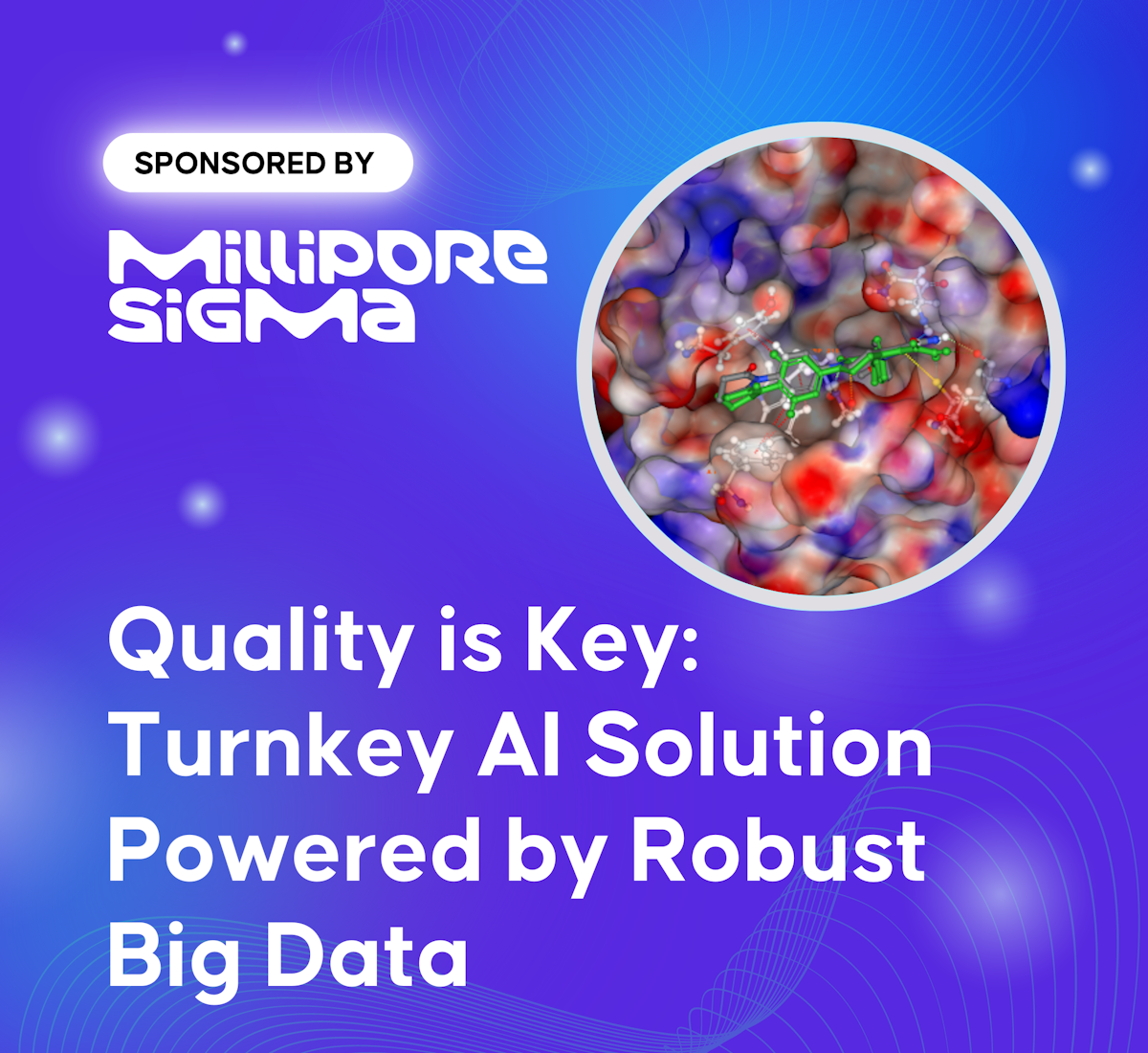 Quality is Key: Turnkey AI Solution Powered by Robust Big Data