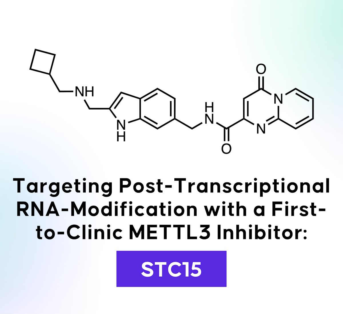 Targeting Post-Transcriptional RNA-Modification with a First-to-Clinic ...