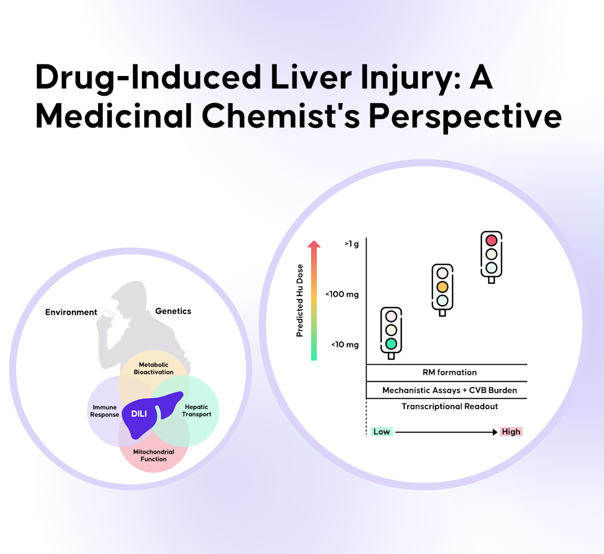 Drug-Induced Liver Injury: A Medicinal Chemist’s Perspective