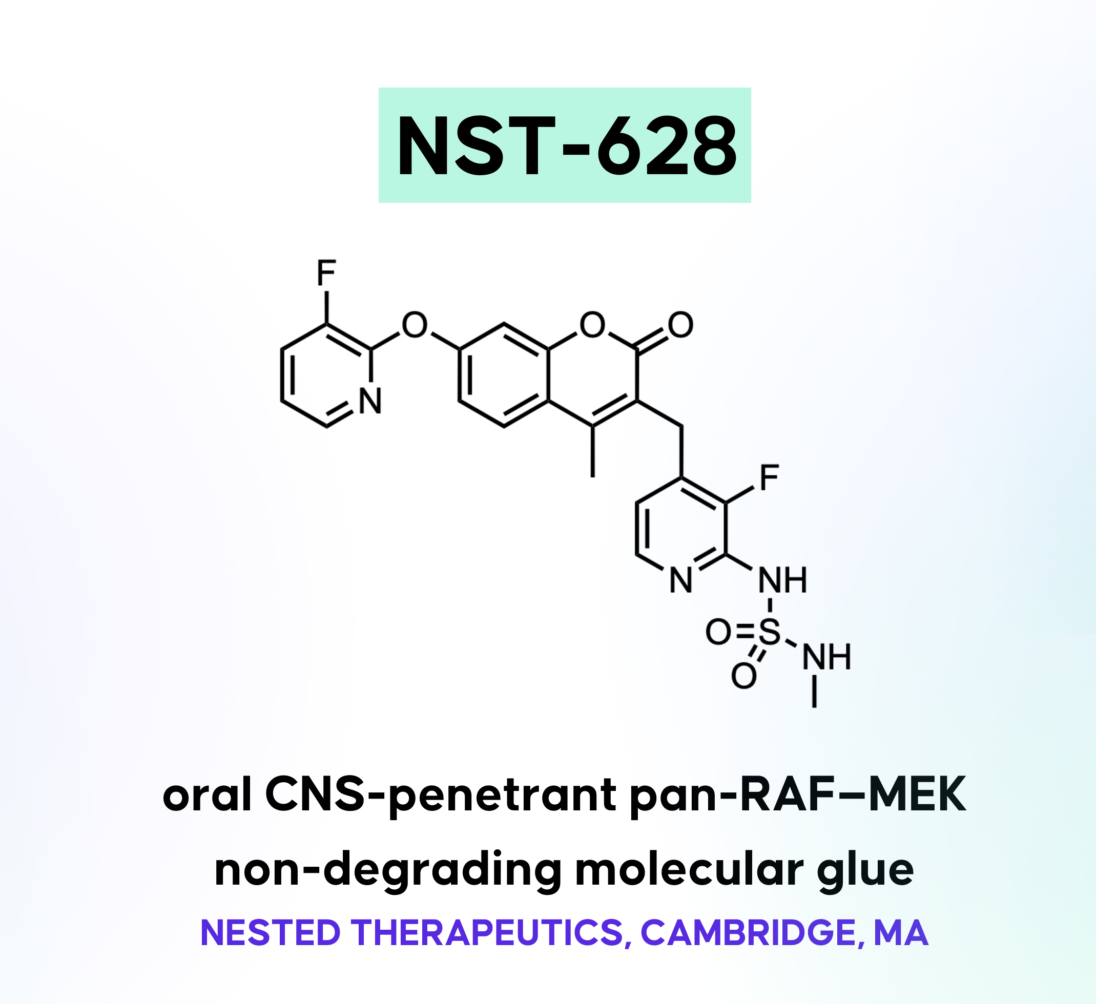 Drug Hunter - drug discovery, distilled