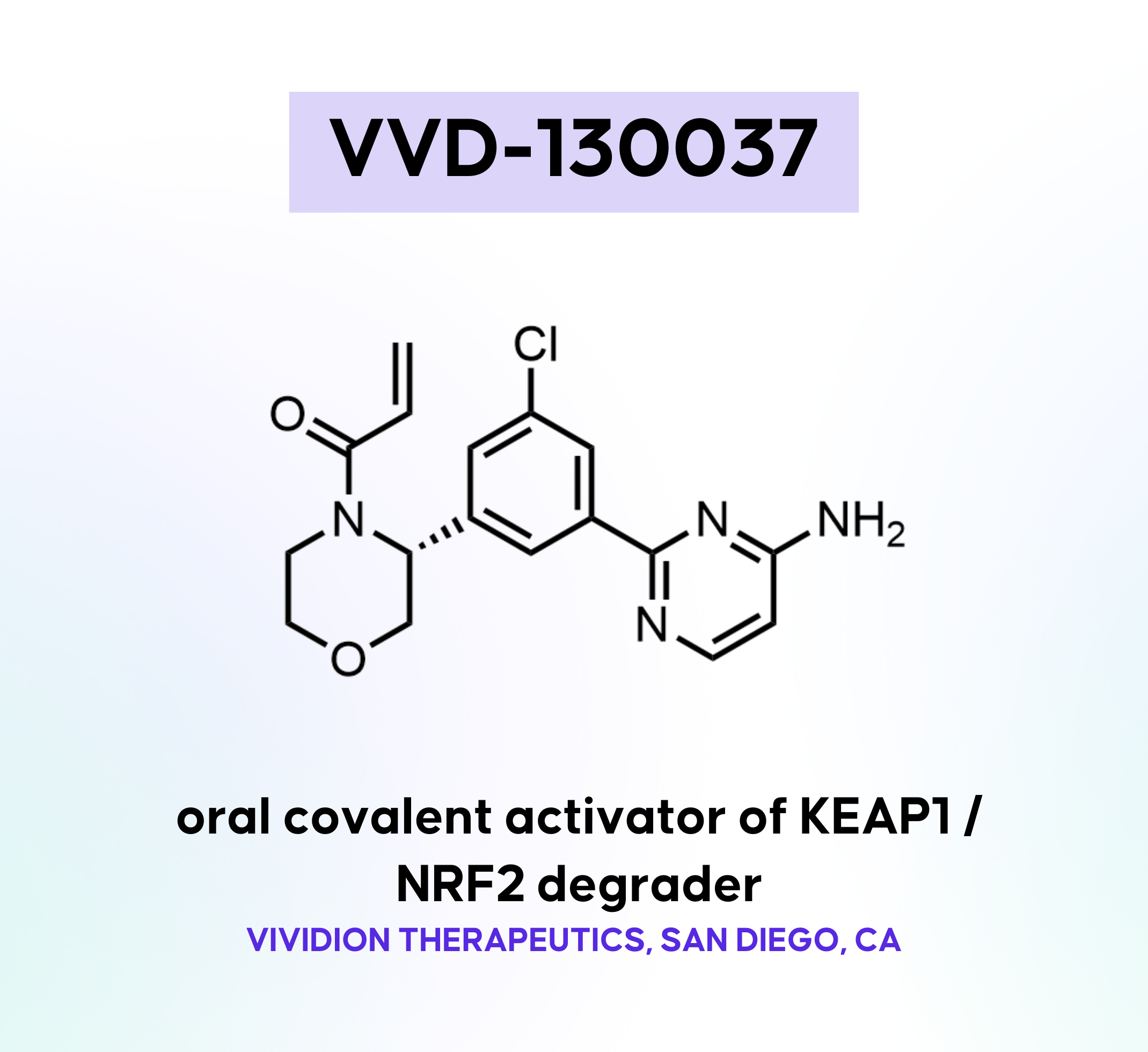 Drug Hunter - drug discovery, distilled