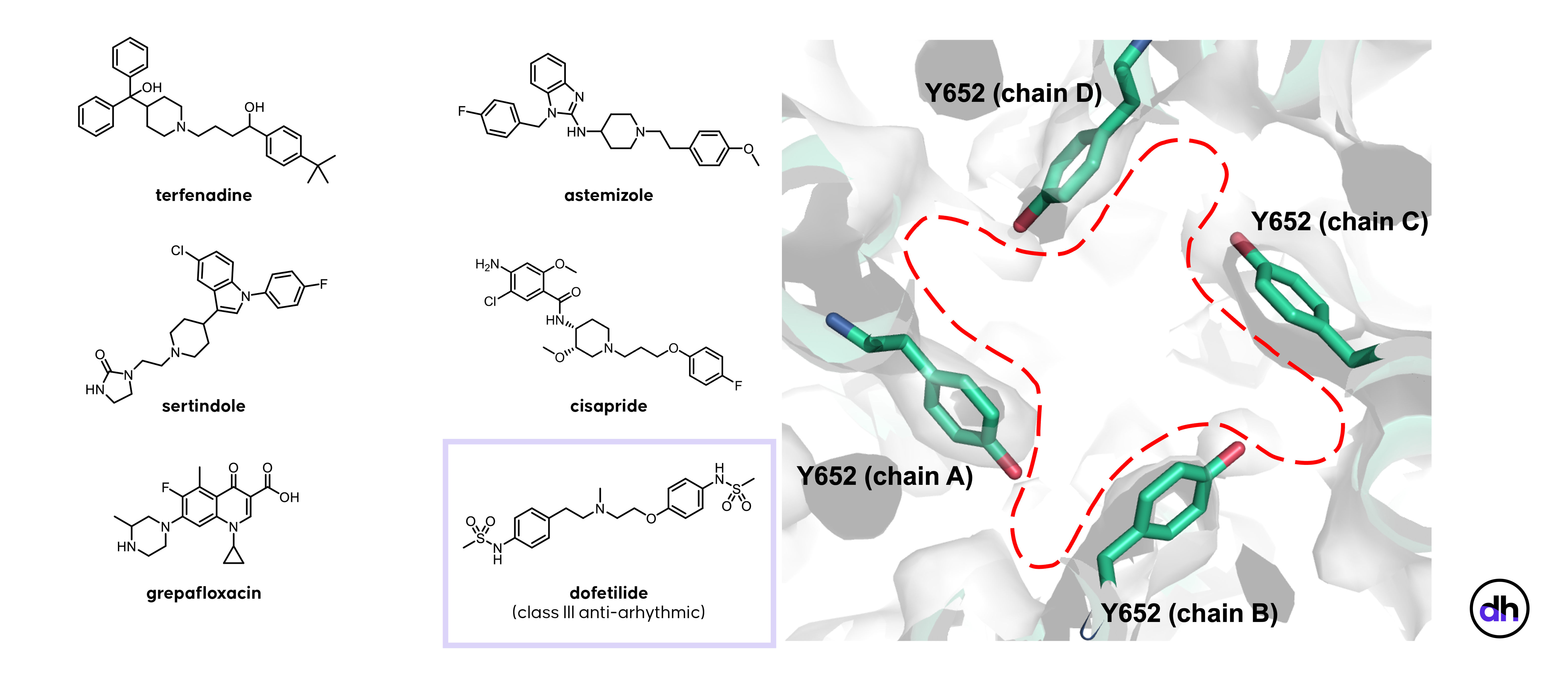Med Chem Strategies to Master hERG and Mitigate Cardiotoxicity Risks
