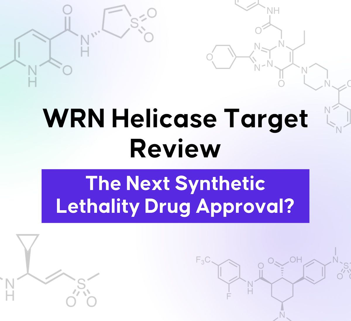 WRN Helicase Target Review: The Next Synthetic Lethality Drug Approval?