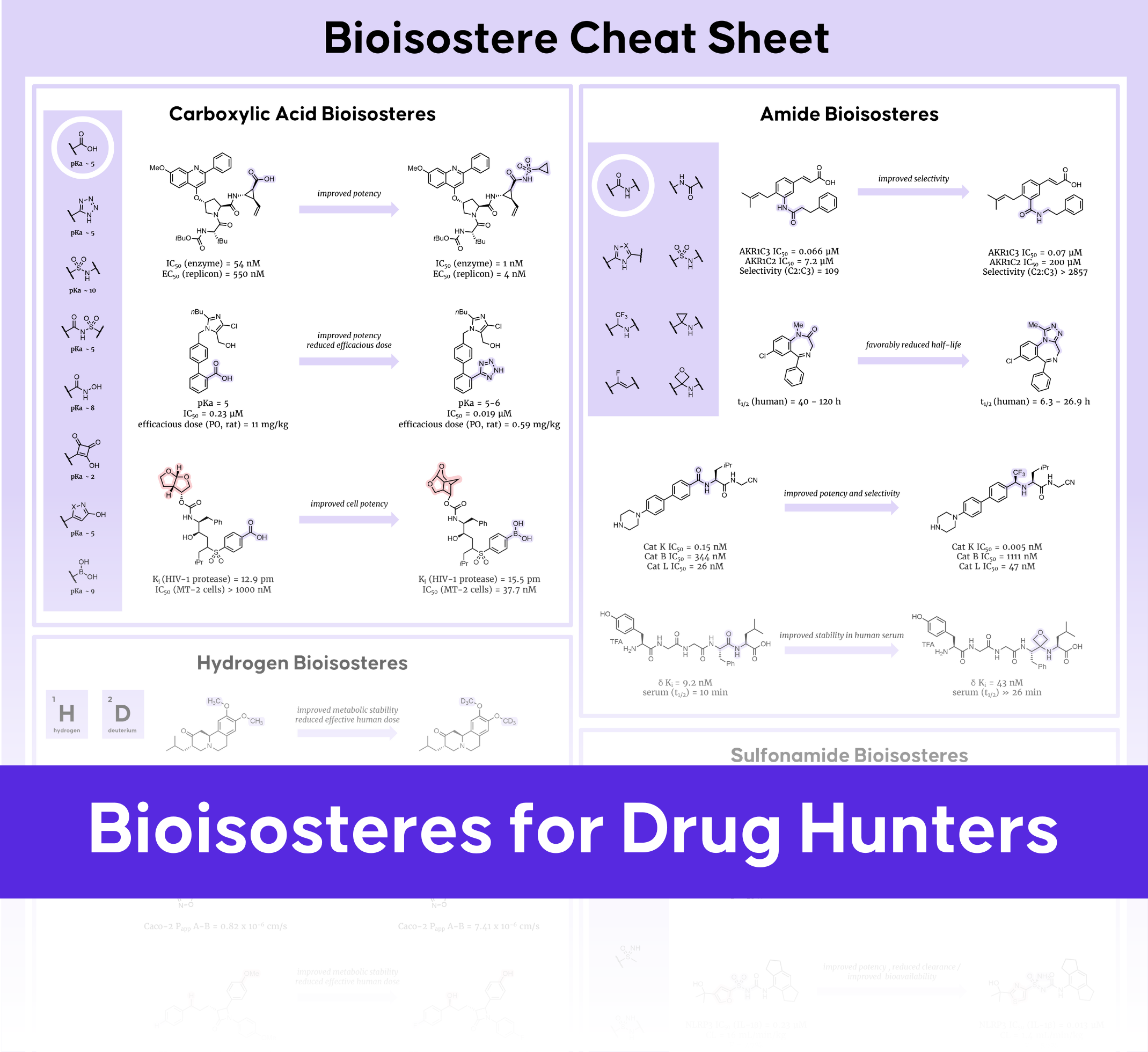 First Disclosure of Proposed Drug Names (and Structures): INN List 132