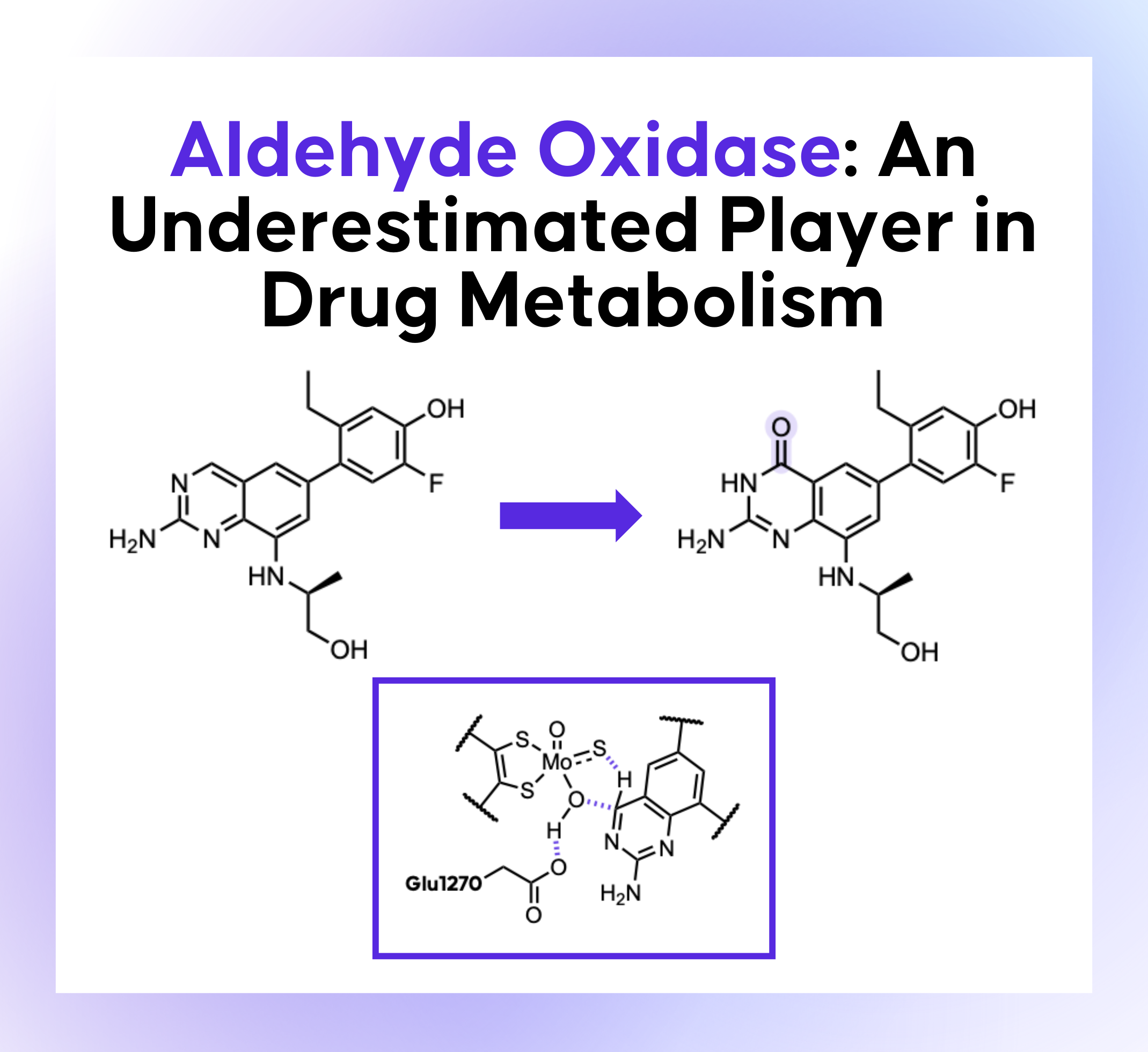 An Introduction to Fragment-Based Drug Discovery (FBDD)