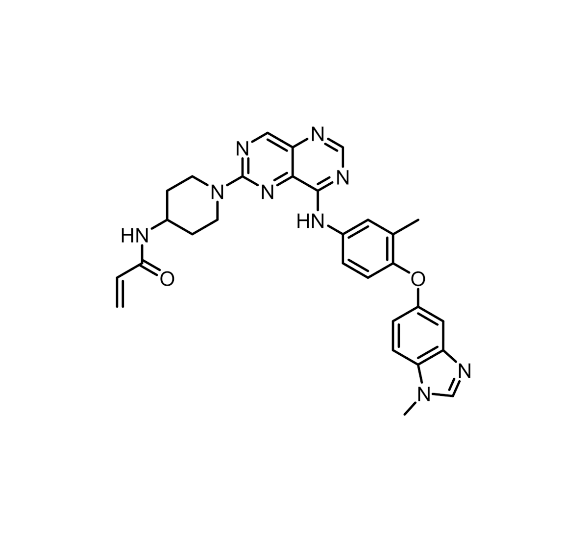 zongertinib (BI 1810631)
