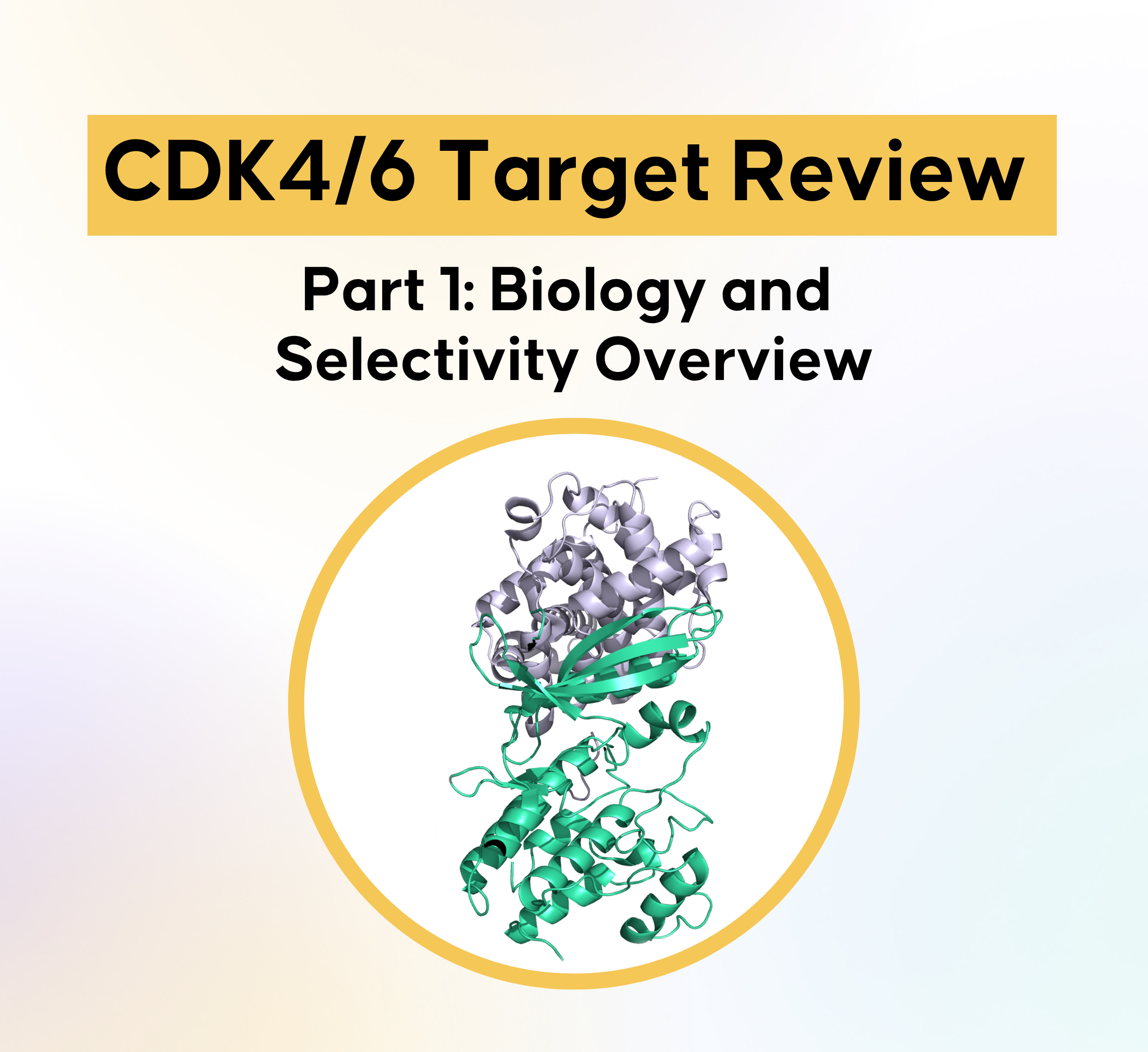 Category - Mini-Reviews